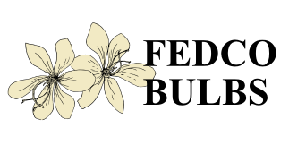 Fedco Bulbs - Catalog Search